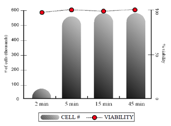 Accutase Cell Detachment Solution 细胞消化液（干细胞级/胰酶-EDTA替代品） - 上海懋康生物科技有限公司