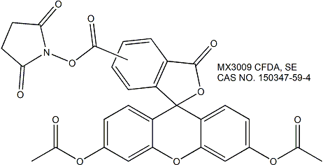 CFDA, SE (CFSE) 细胞增殖示踪荧光探针 - 上海懋康生物科技有限公司