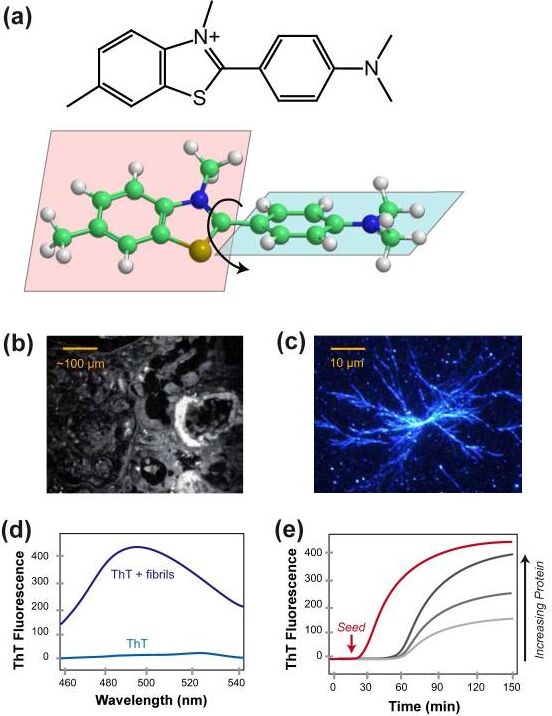 Thioflavin T ( Basic Yellow 1) 硫黄素T（碱性黄1）超纯 - 上海懋康生物科技有限公司