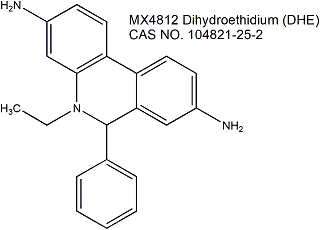 Dihydroethidium (DHE) 二氢乙锭 超氧化物阴离子荧光探针 - 上海懋康生物科技有限公司