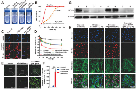 [Ru(dpp)3]Cl2 (Luminescent oxygen sensor) 氧指示探针（金标产品，享发文奖励） - 上海懋康生物科技有限公司