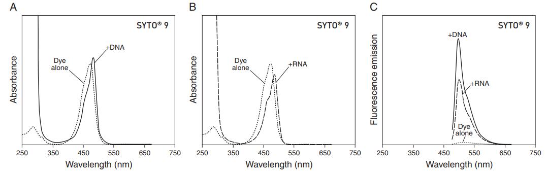 SYTO 9 Green Fluorescent Nucleic Acid Stain (5 mM in DMSO) SYTO 9 绿色荧光 ...