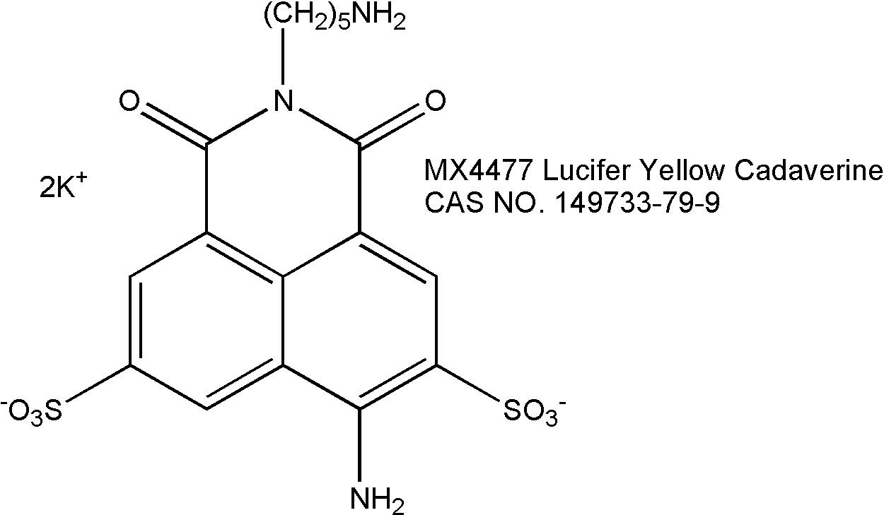 Lucifer Yellow Cadaverine 萤光黄尸胺 - 上海懋康生物科技有限公司