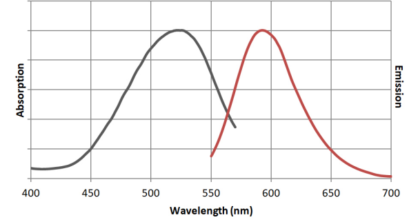 Ethidium Homodimer 3 (EthD-3) 溴乙啡锭二聚体3 - 上海懋康生物科技有限公司