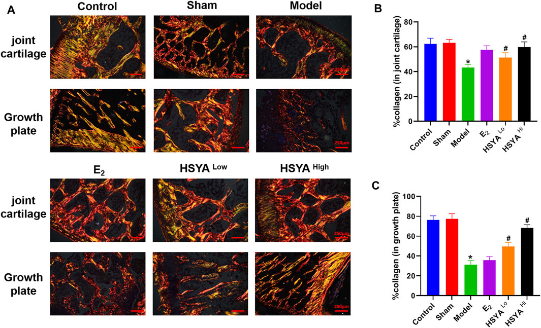 Sirius Red (Direct Red 80) 天狼星红（直接红80） - 上海懋康生物科技有限公司